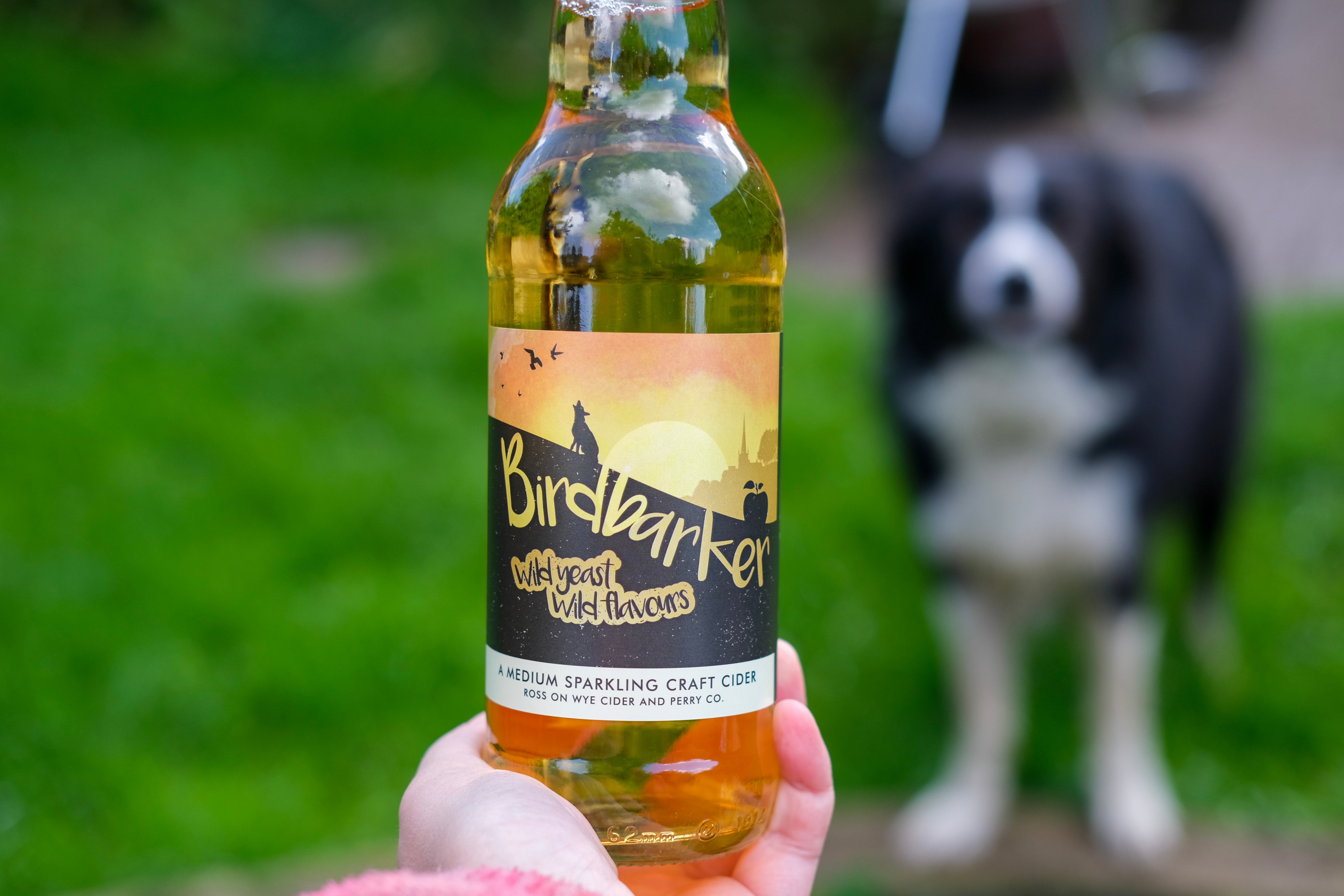 Birdbarker Cider - 5.8% - 50cl | Ross-on-Wye Cider & Perry Co. Ltd.