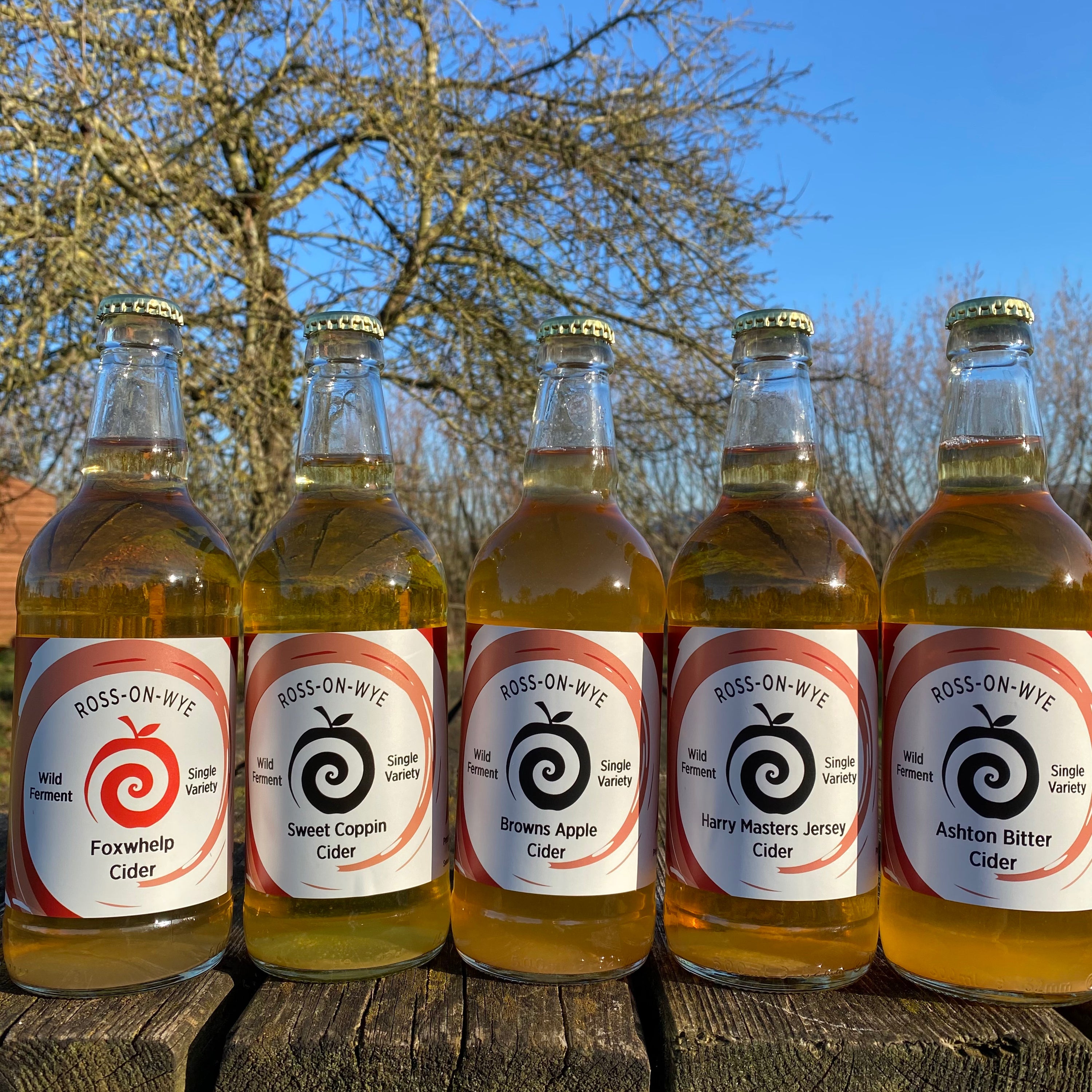 Single Variety Cider Box | Ross-on-Wye Cider & Perry Co. Ltd.